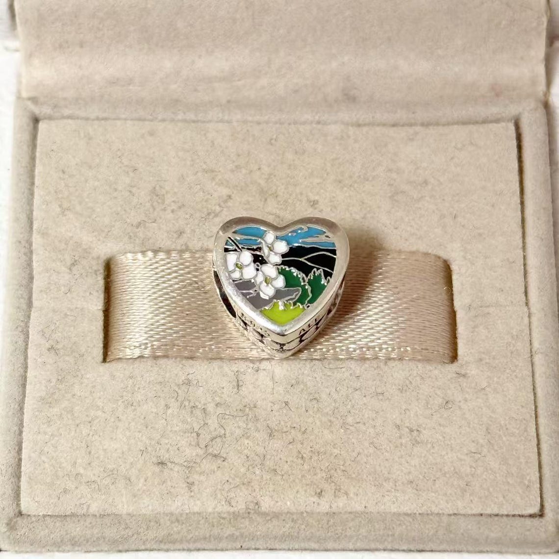 Pandora Virginia Lovers Heart Bead Charm S925 Silver Jewelry for ...