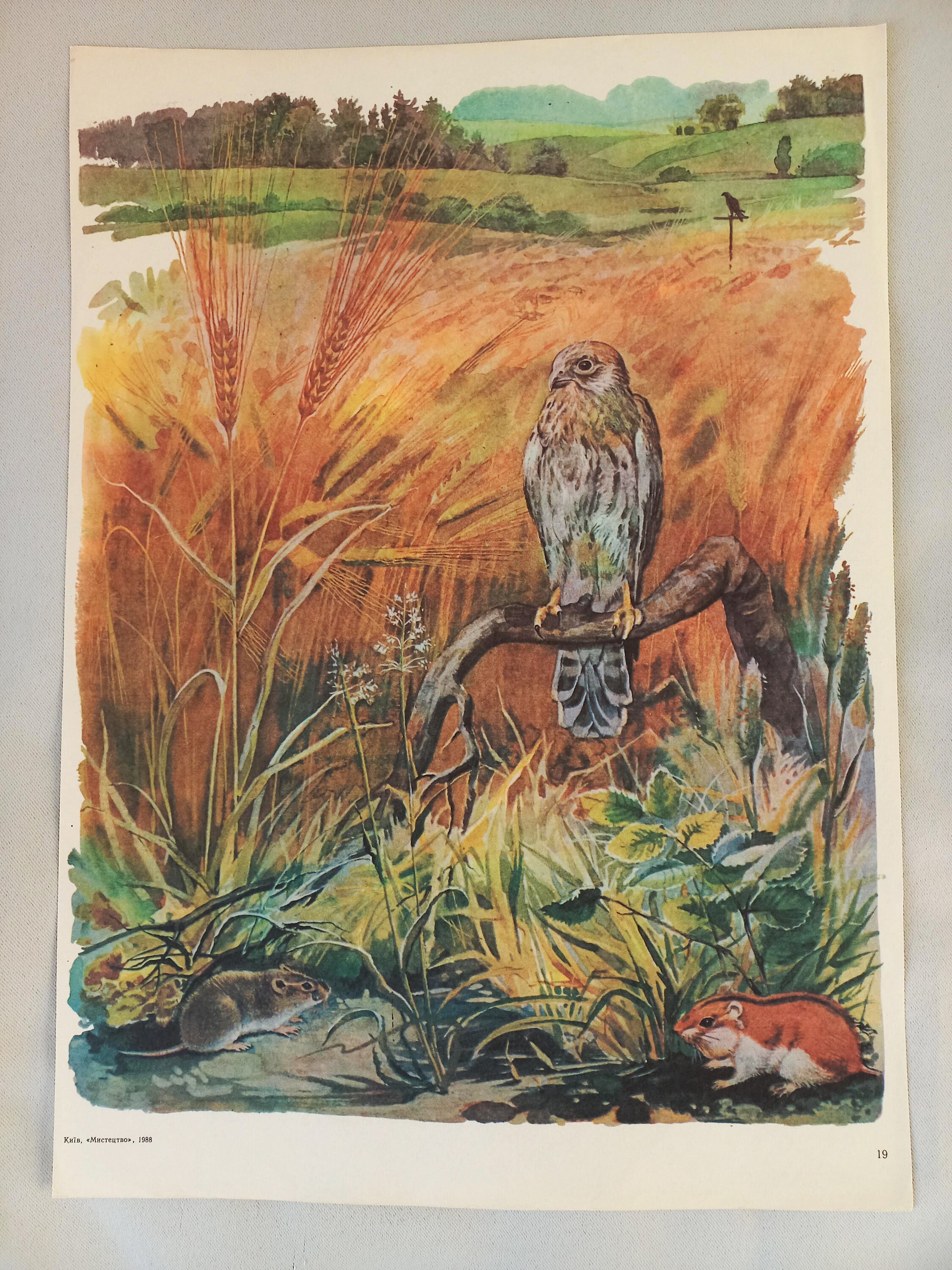 Soviet School Posters Nature Fairy Tales Propaganda Soviet Posters ...
