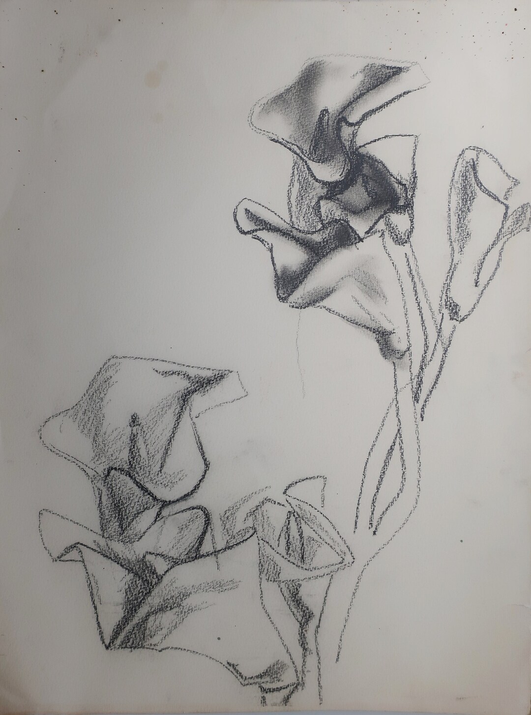 Drawing. Ukrainian Artist Shpakovsky 48-36cm Graphics on Paper - Etsy