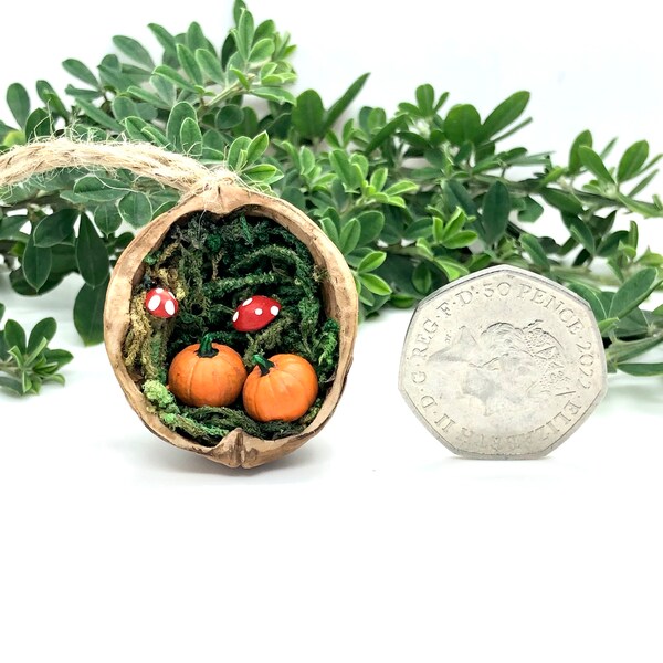 Walnut Shells - Etsy UK