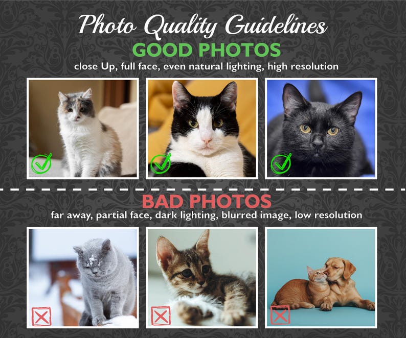 Royal Pet Portrait From Photo, Personalized Pet Portrait From Photo ...
