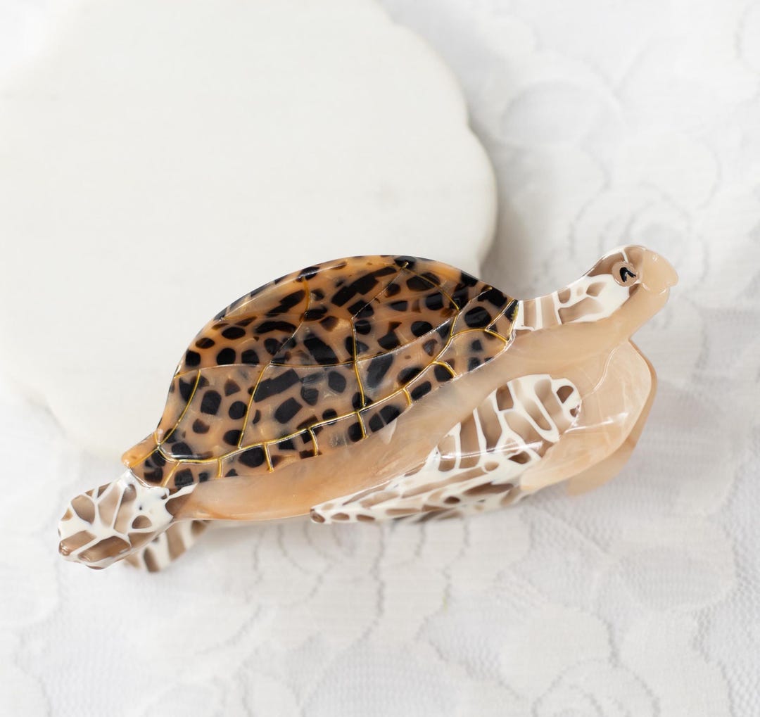 Sea Turtles Green Loggerhead Classroom Fashion Chic Functional ...