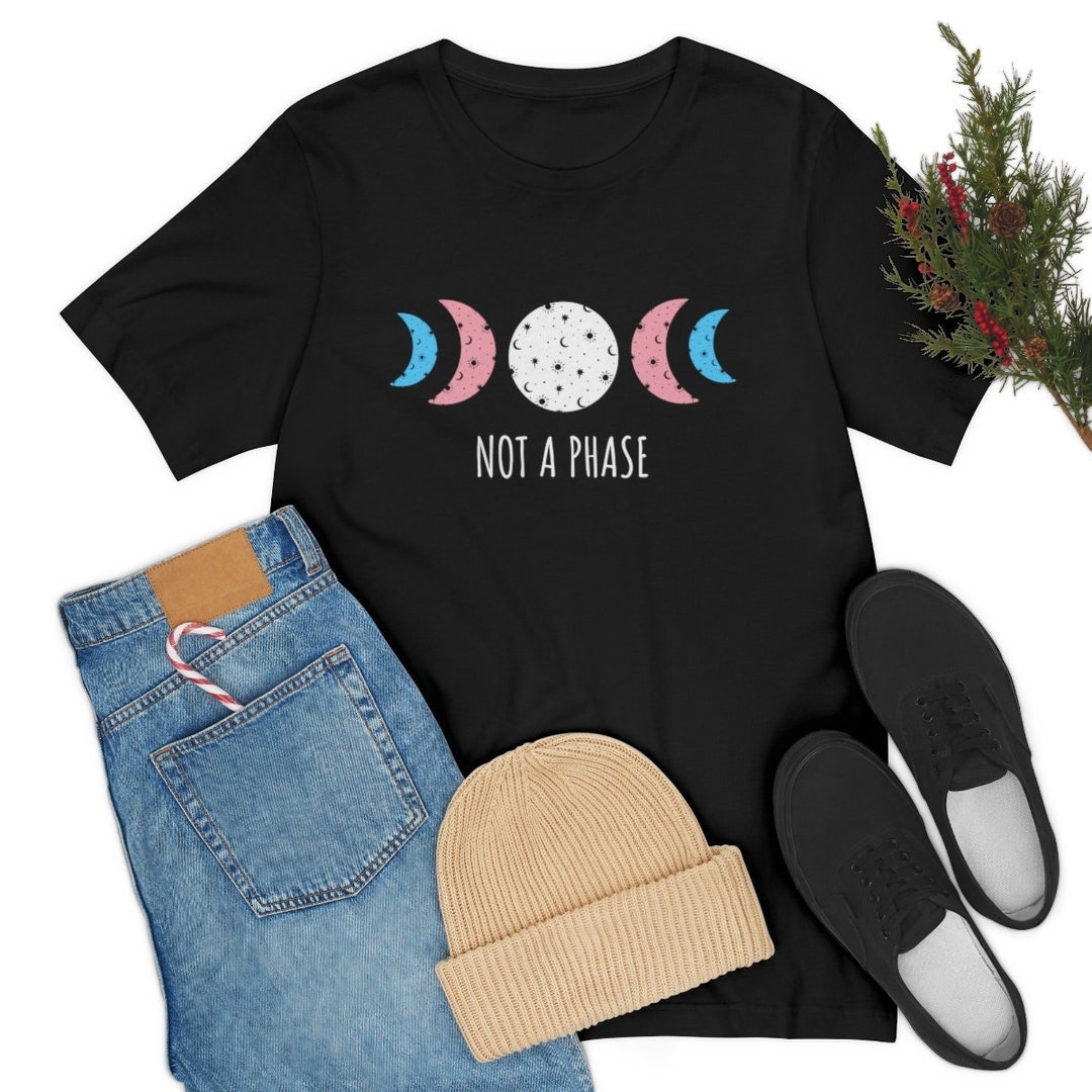 Subtle Trans Pride Flag Colors Moon and Stars Phase - Etsy Singapore