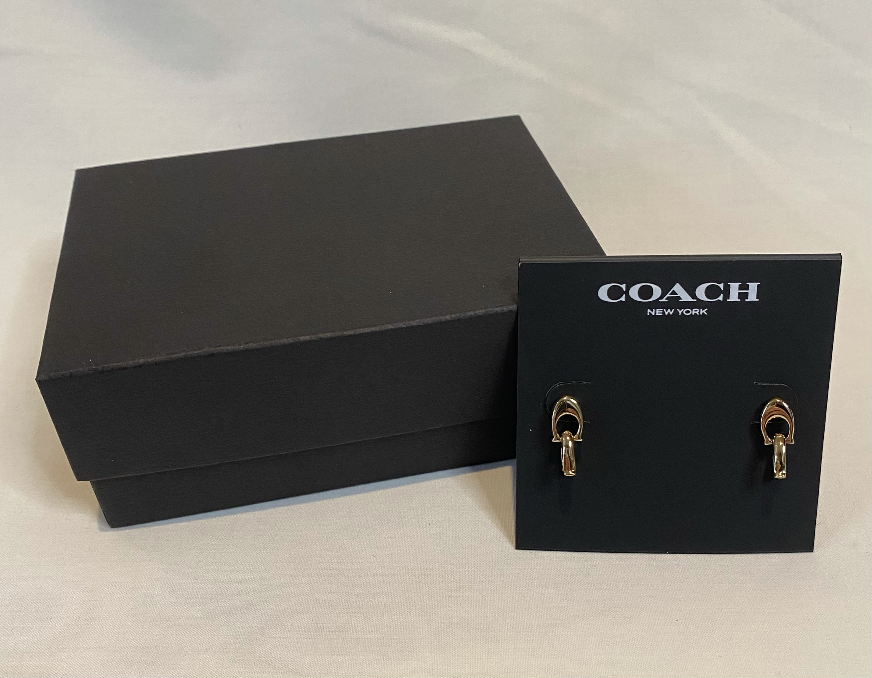Coach Chunk C Link Drop Earrings