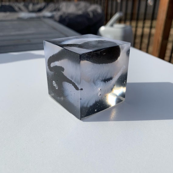 Custom Small and Large Cube Worm on a String Trapped in Resin - Etsy