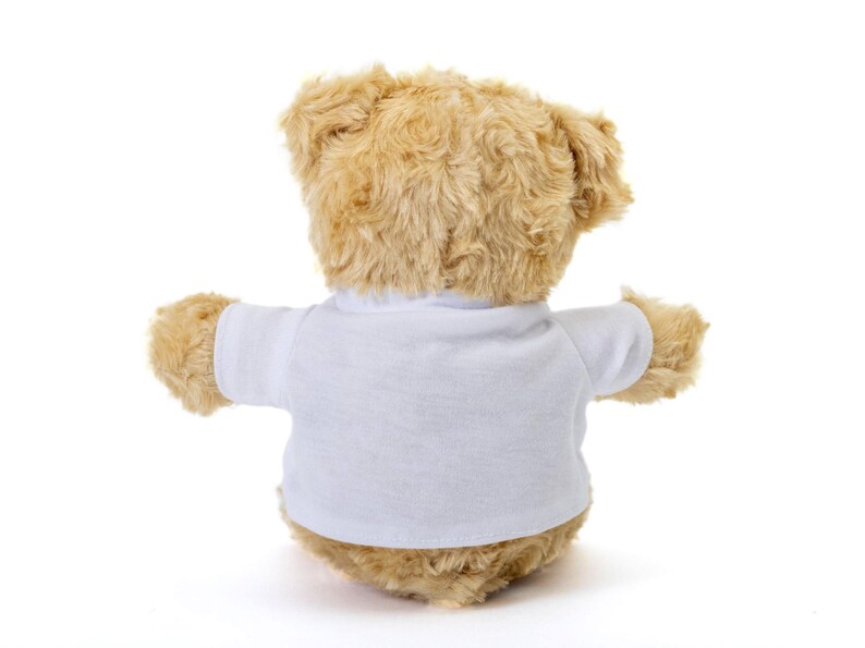 Someone in Hawaii Loves Me Teddy Bear - Baby Shower Gift - Long ...