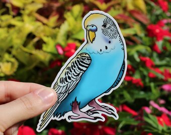 Parakeet Sticker | Etsy