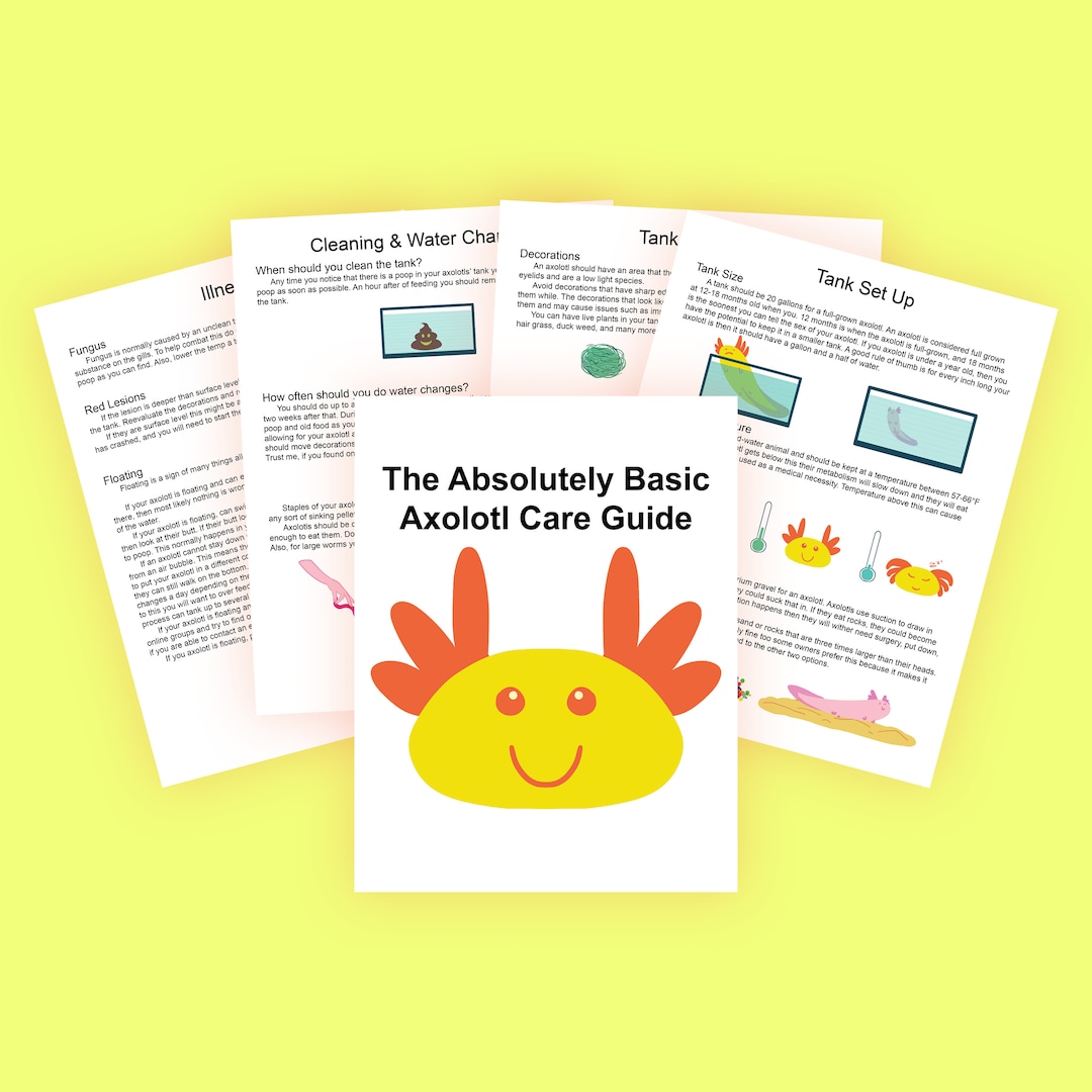 Digital Basic Axolotl Care Guide - Etsy