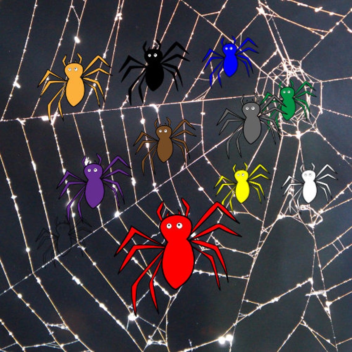 Rainbow Spiders Digital Clipart 11 Colorful Spiders Including | Etsy