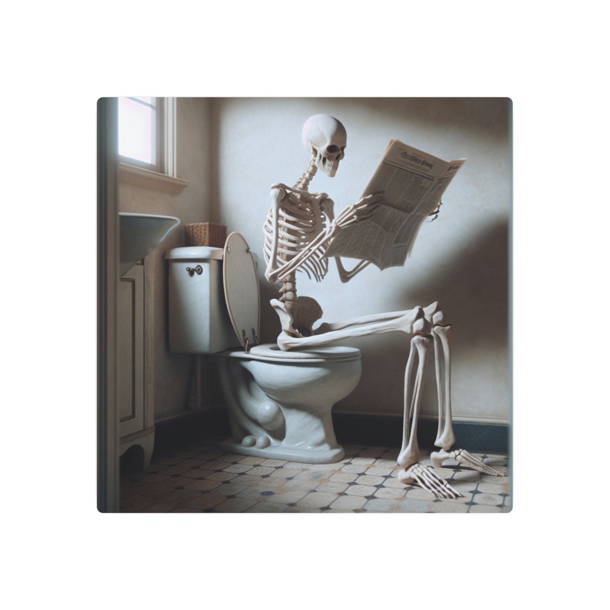 Skeleton Sitting on the Toilet Funny Metal Bathroom Art Sign - Etsy