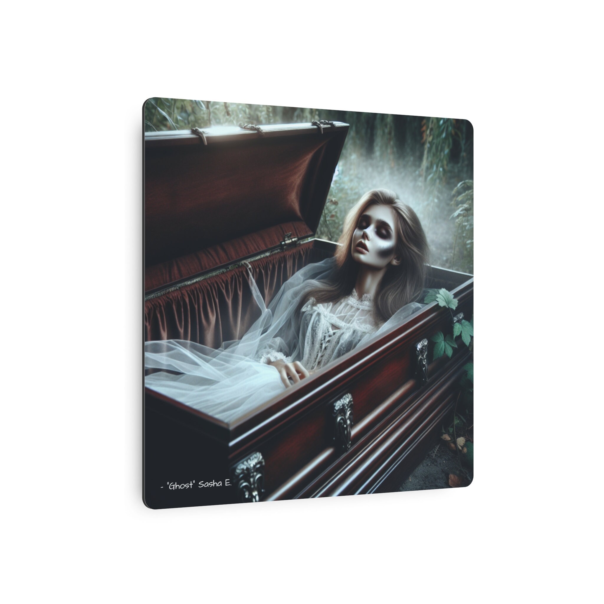 Casket Girl Creepy Gothic Metal Art Sign - Etsy