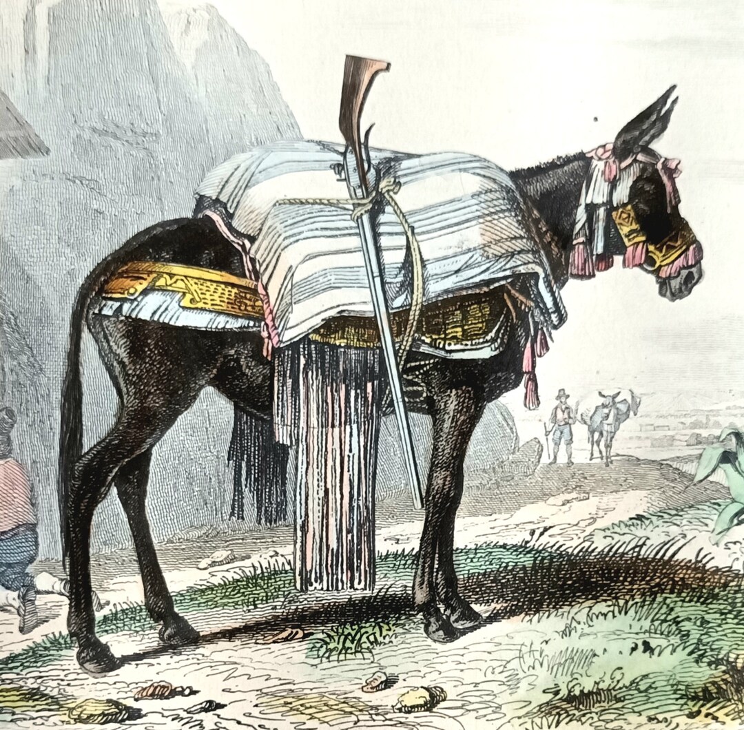The Mule Andalusian Decor, Chapel Beautiful 19th Century Engraving ...