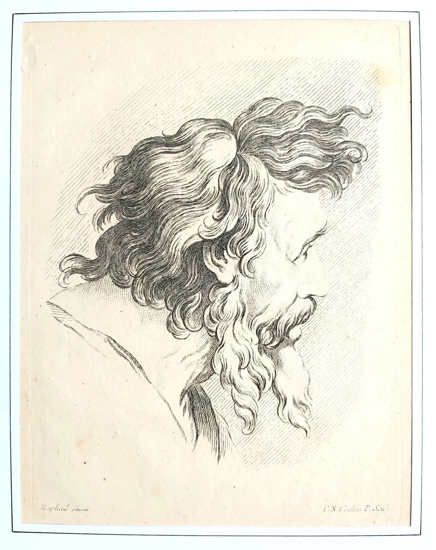 Raphael Master Drawings