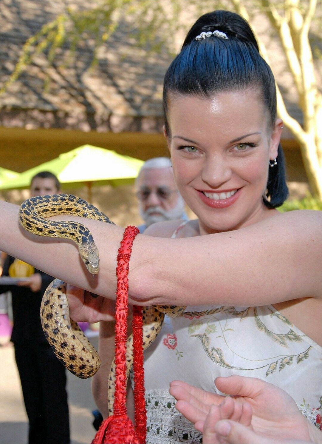 Photo Pauley Perrette 11x15 Cm Format - Etsy