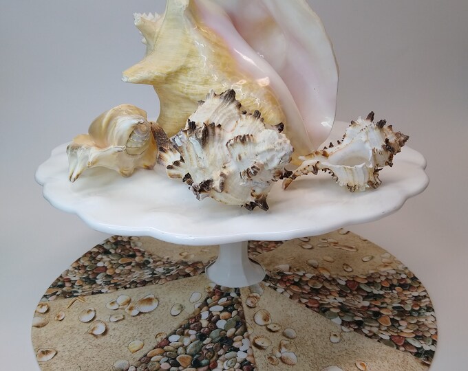 12" Summer Tabletop Tree Skirt. Small Round Seashells and Pebbles Print ...