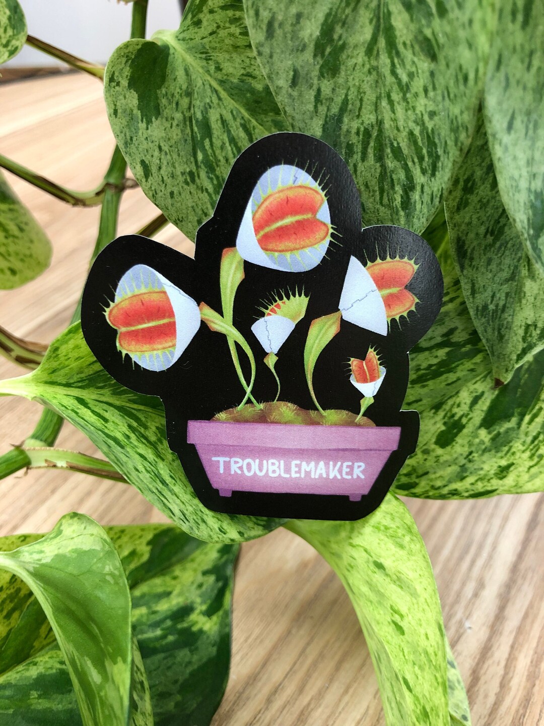 Venus Flytrap Funny Sticker - Etsy