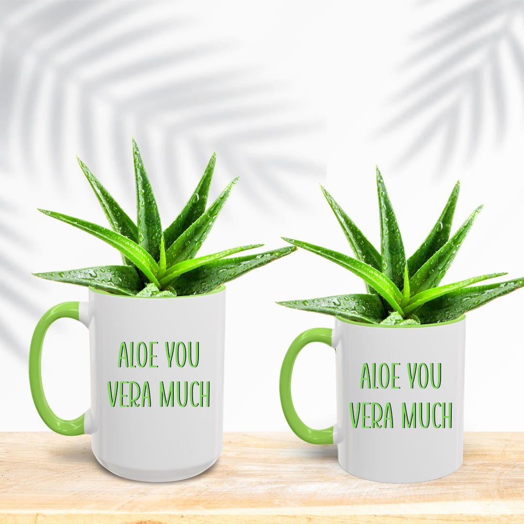 Funny Mug Planters, Colorful Mug Planters, Coffee Lover Planter ...