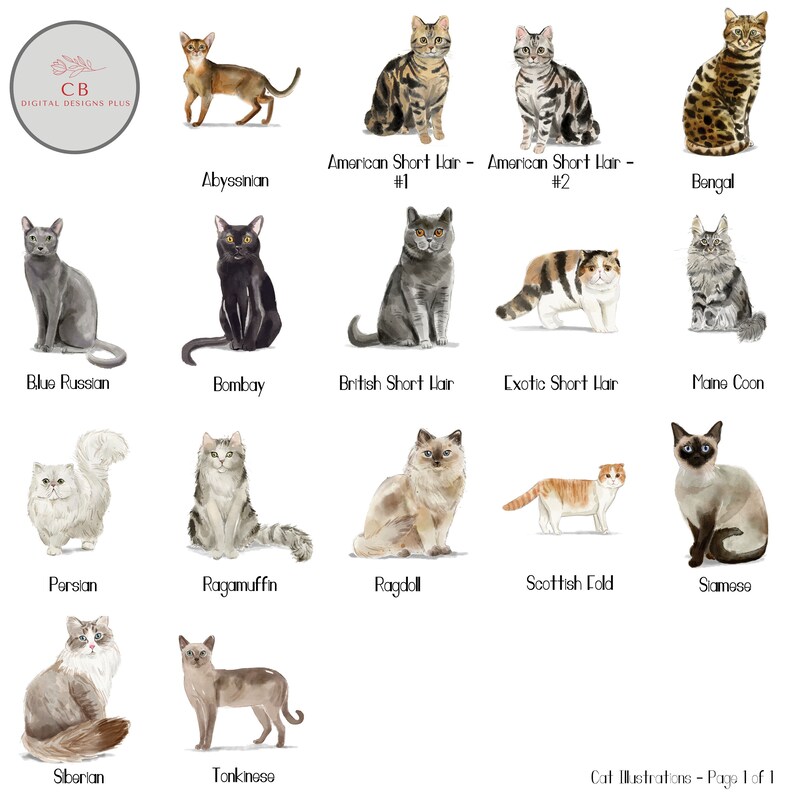 CAT Personalized Printable Stationery, Printable Note Paper, Printable ...