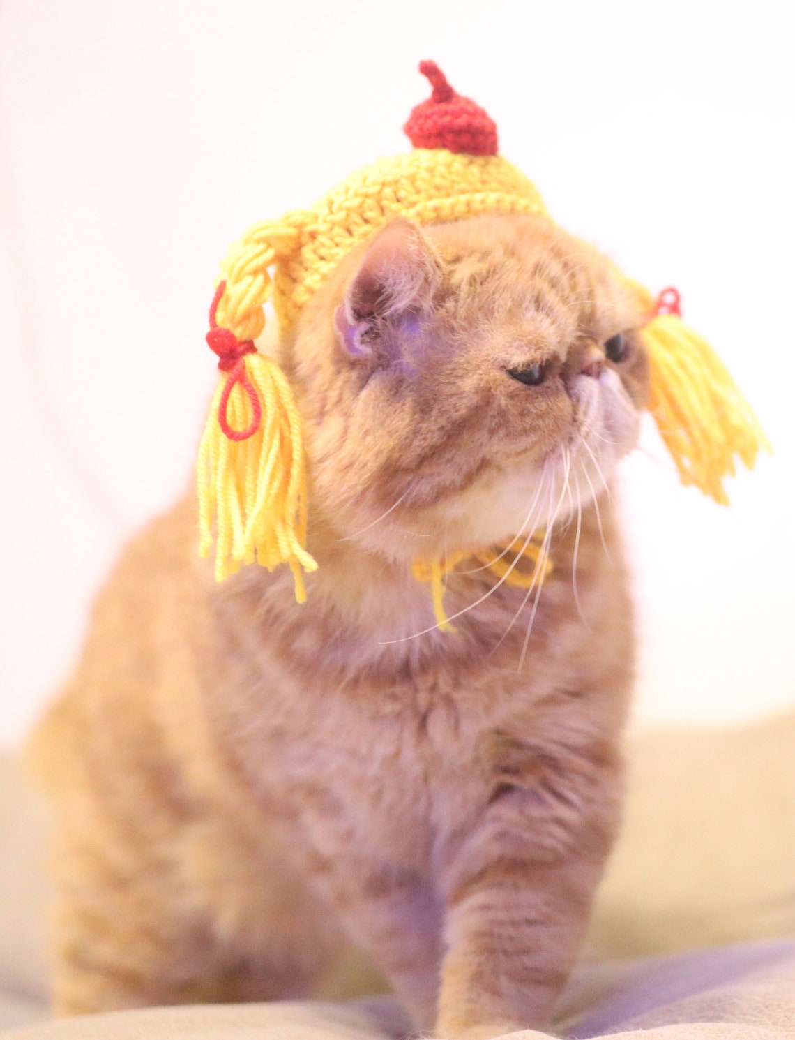 Cat Wig With Braids Cat Hat Pet Wigs With Beret Hat Pet Funny - Etsy