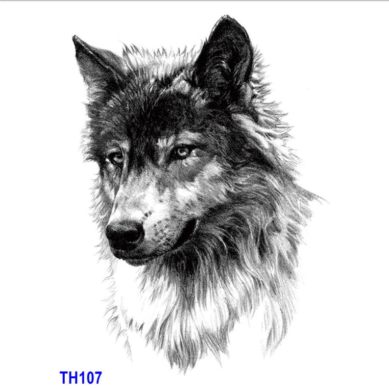 Large Lion King Tiger Leopard Wolf Compass Rose Bird Rose | Etsy