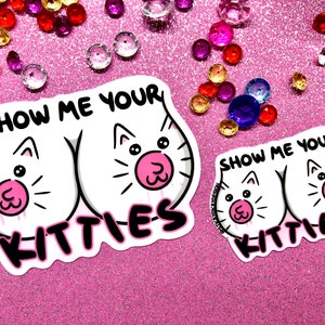 Show Me Your Kitties Boob Sticker - Etsy