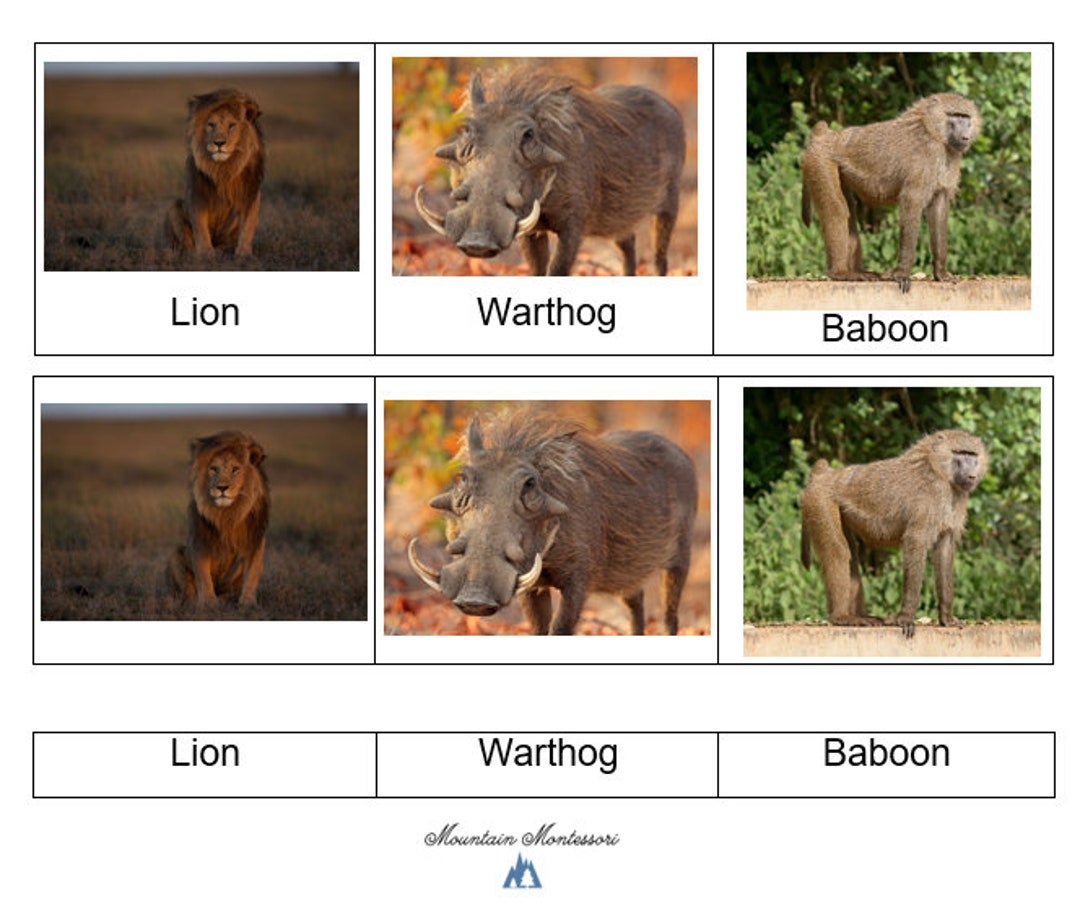 Animals of Africa 3-part Cards - Etsy