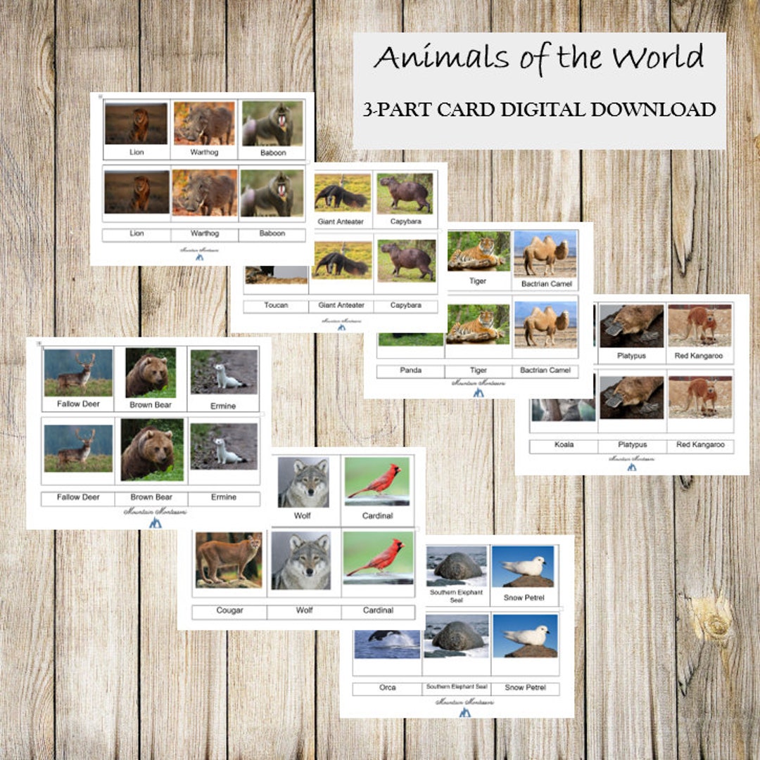 Animals of the World 3-part Card DIGITAL DOWNLOAD BUNDLE - Etsy