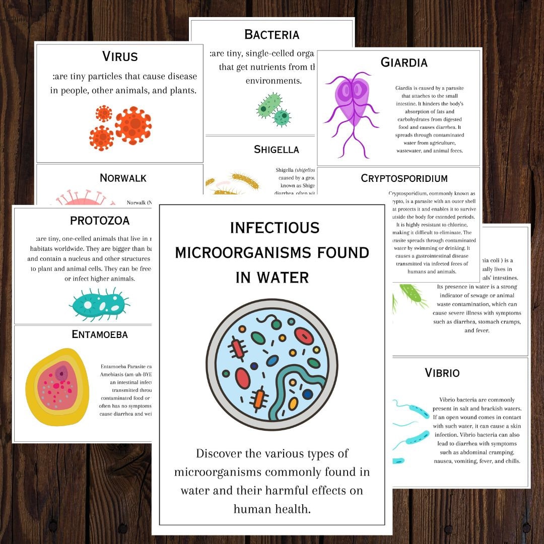 Infectious Microorganisms Found in Water Cards-stream/lake Study - Etsy