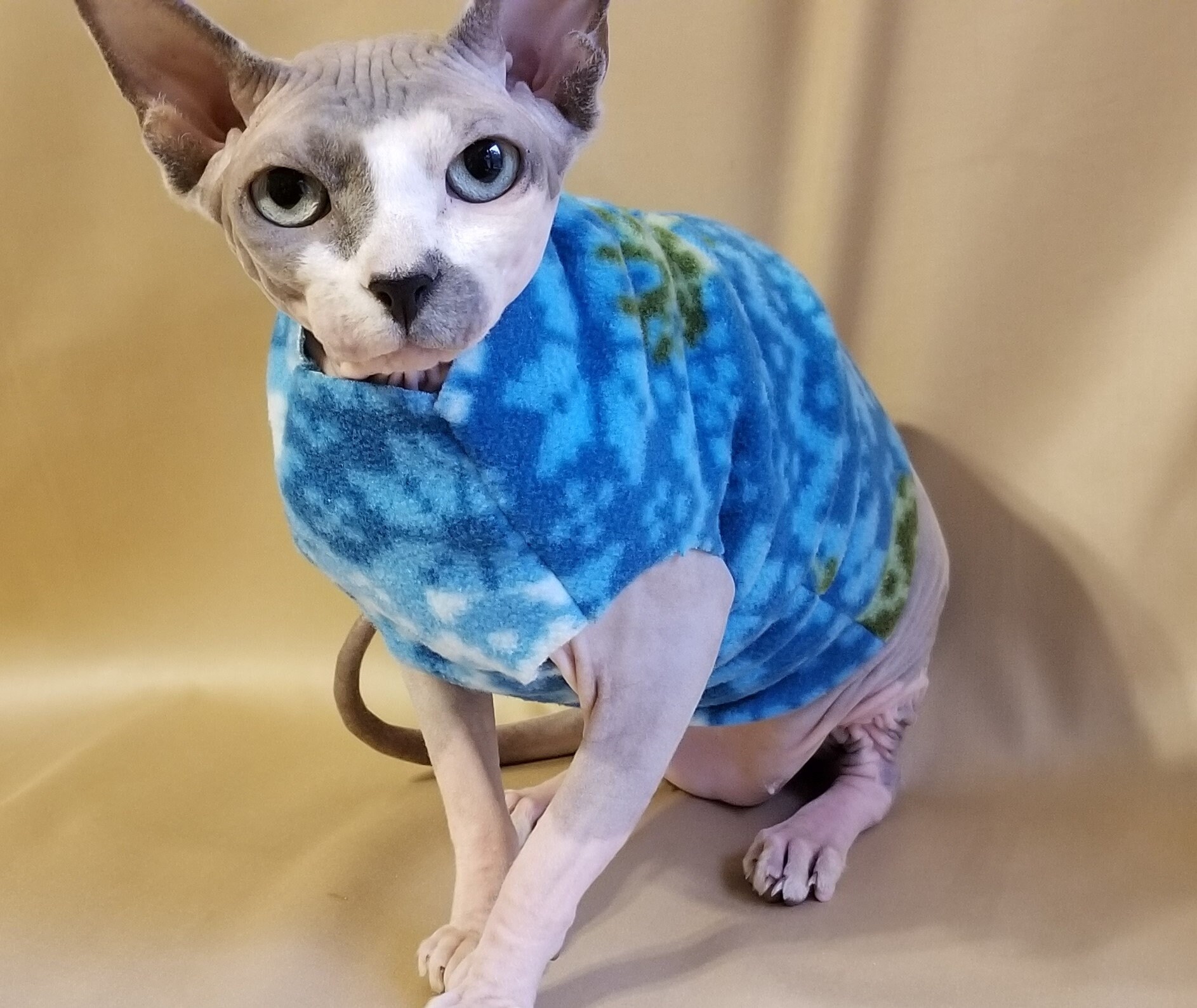 Cat Sweater Pattern Size XS Sewing Pattern Cat Sweater - Etsy Denmark