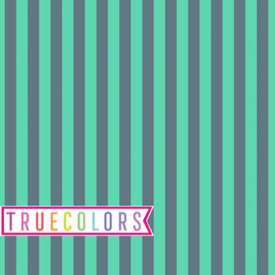 Tula Pink's Neon True Colors, Tent Stripe Spirit - Etsy