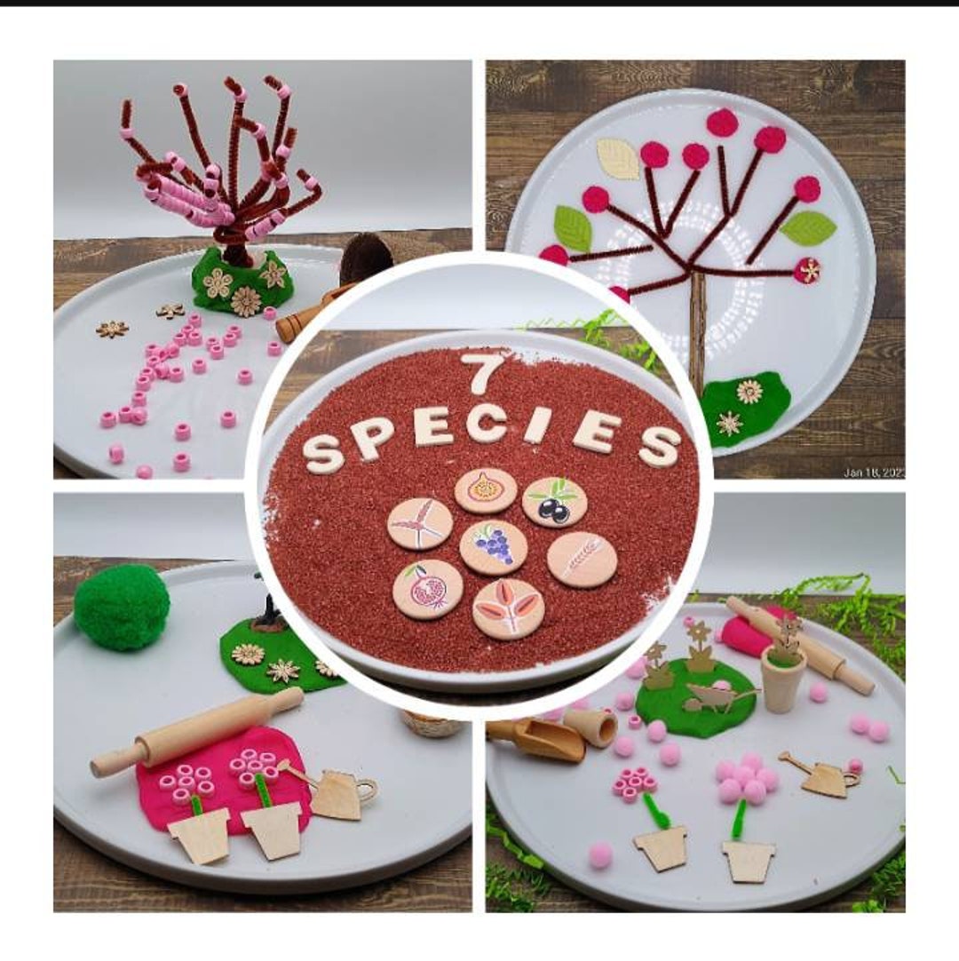Tu Bishvat / Tu B'shvat / Jewish Holiday Gift / Sensory Kit for Kids ...