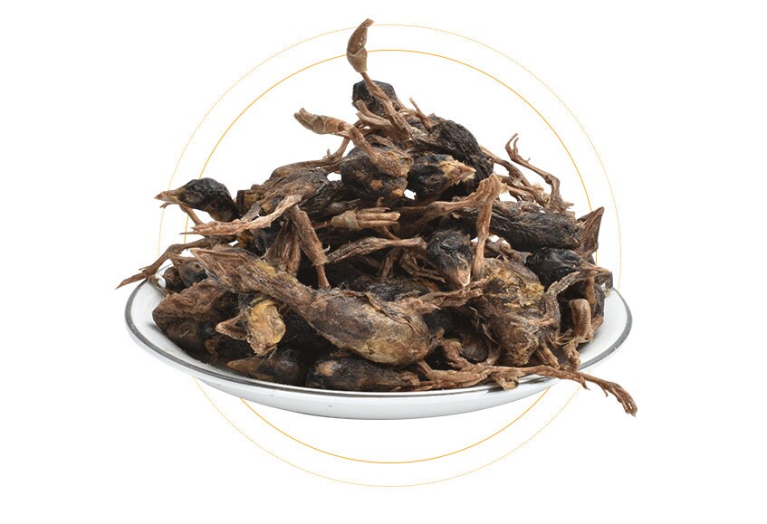 Dried Quail Natural Additive-free Cat Snacks Cat Food Freeze-dried ...