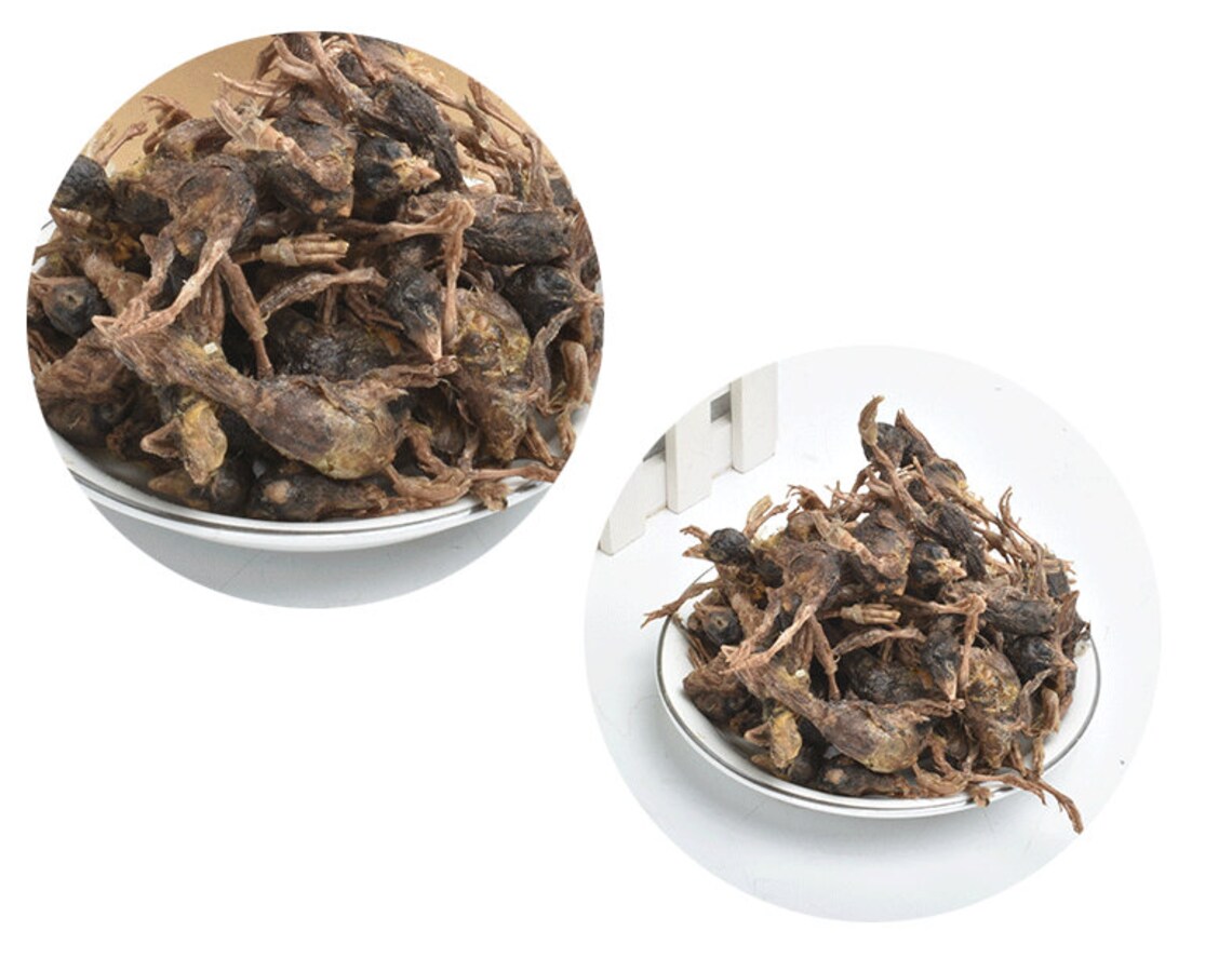 Dried Quail Natural Additive-free Cat Snacks Cat Food Freeze-dried ...