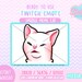 VE-29 / Twitch Emote / Smudge Meme Cat / Pastel / Kawaii / Streamer ...