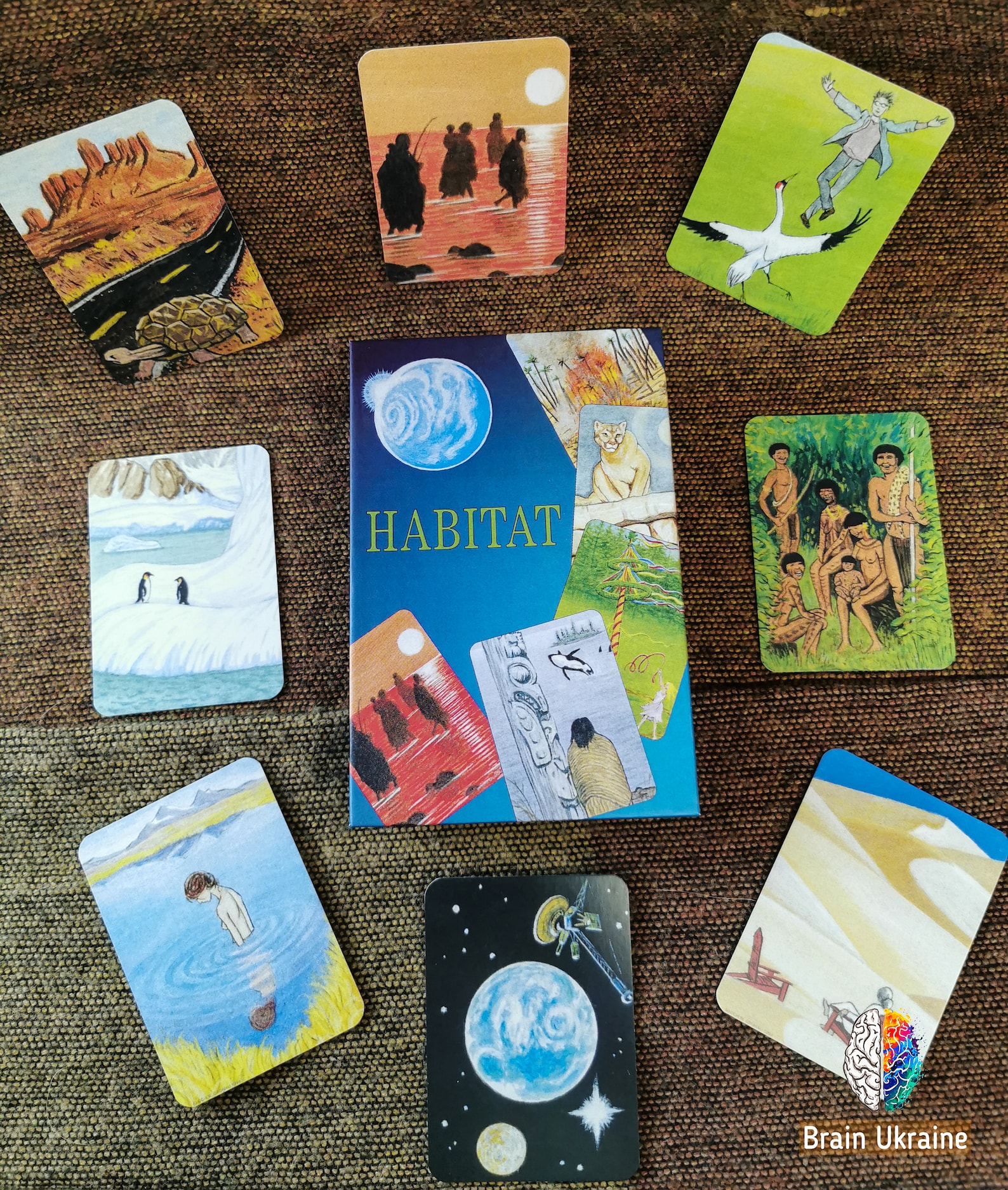 HABITAT Deck Metaphorical Associative Cards Psychology Tool - Etsy