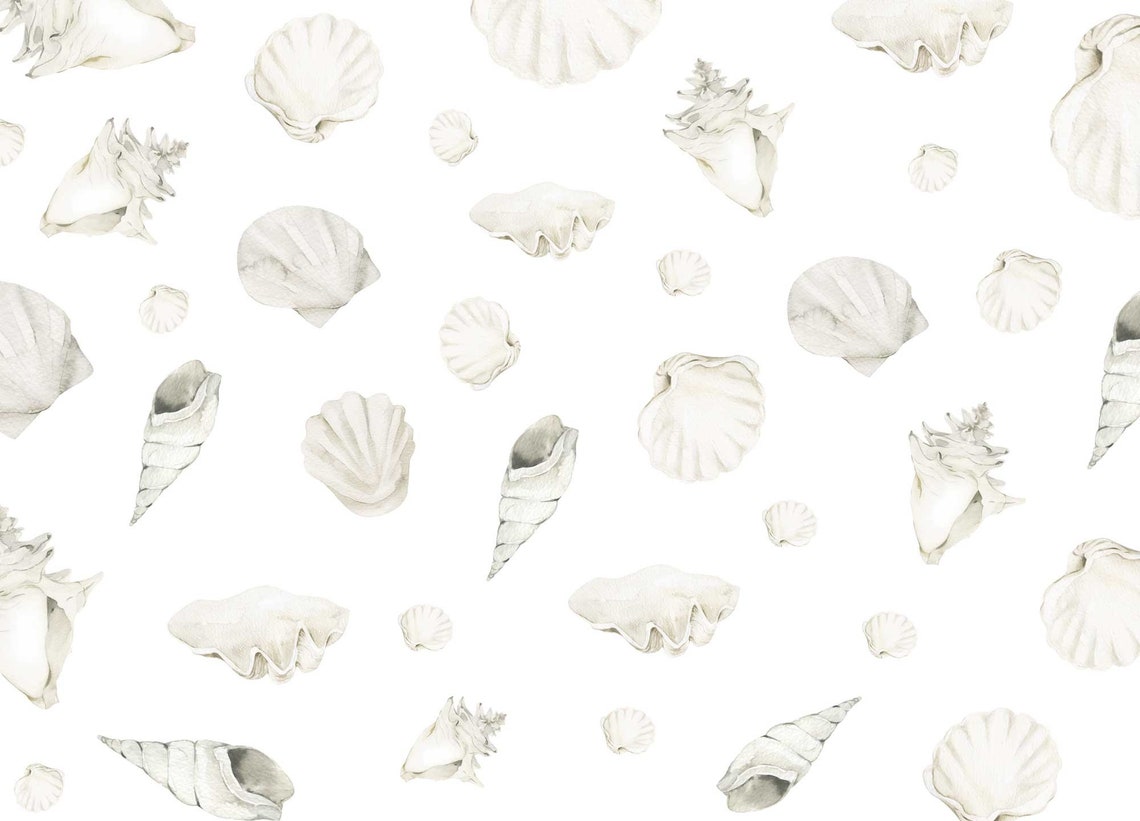 Shell Wallpaper Coastal Wallpaper Beachy Wallpaper Earthy | Etsy
