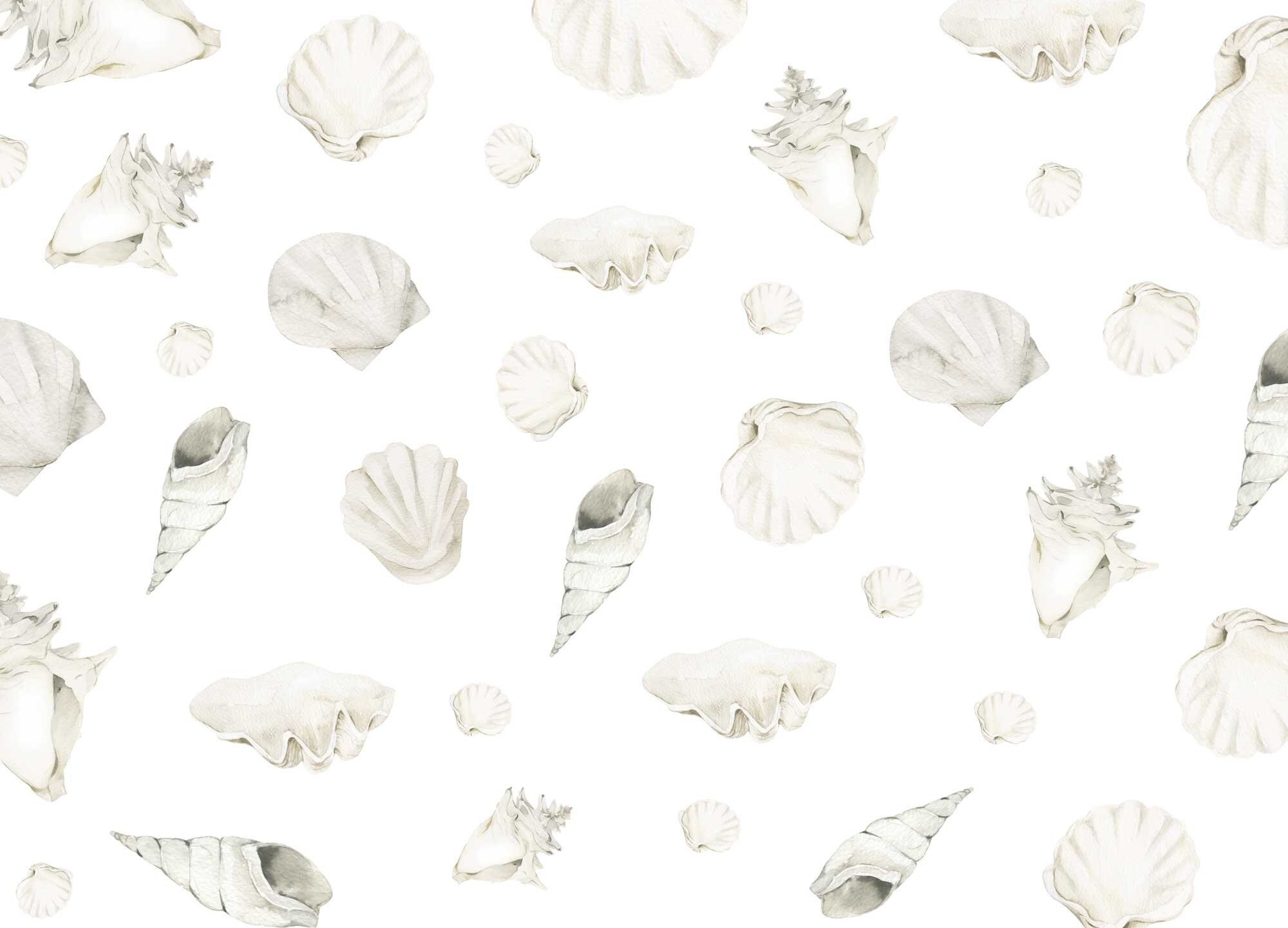 Shell Wallpaper Coastal Wallpaper Beachy Wallpaper Earthy | Etsy