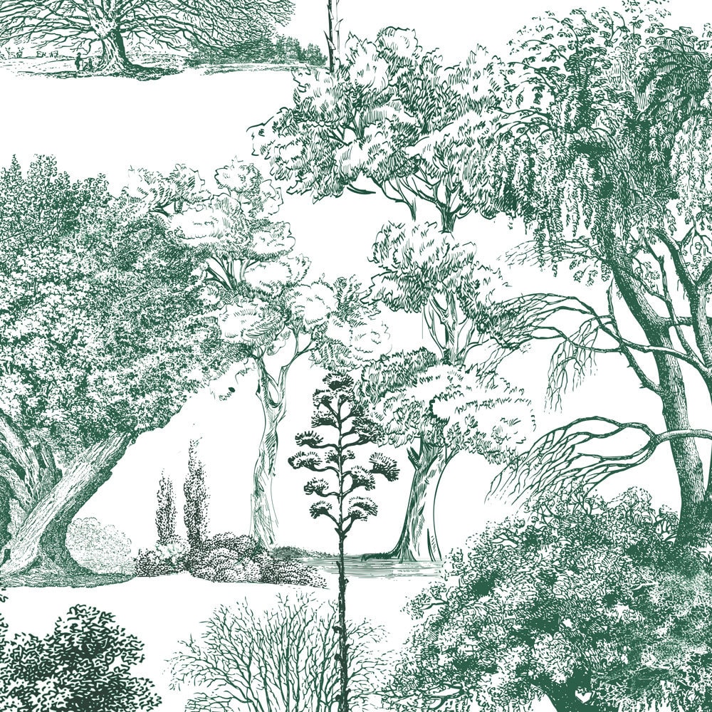 French Forest Wallpaper - Illustration Hand Drawing French Trees ...