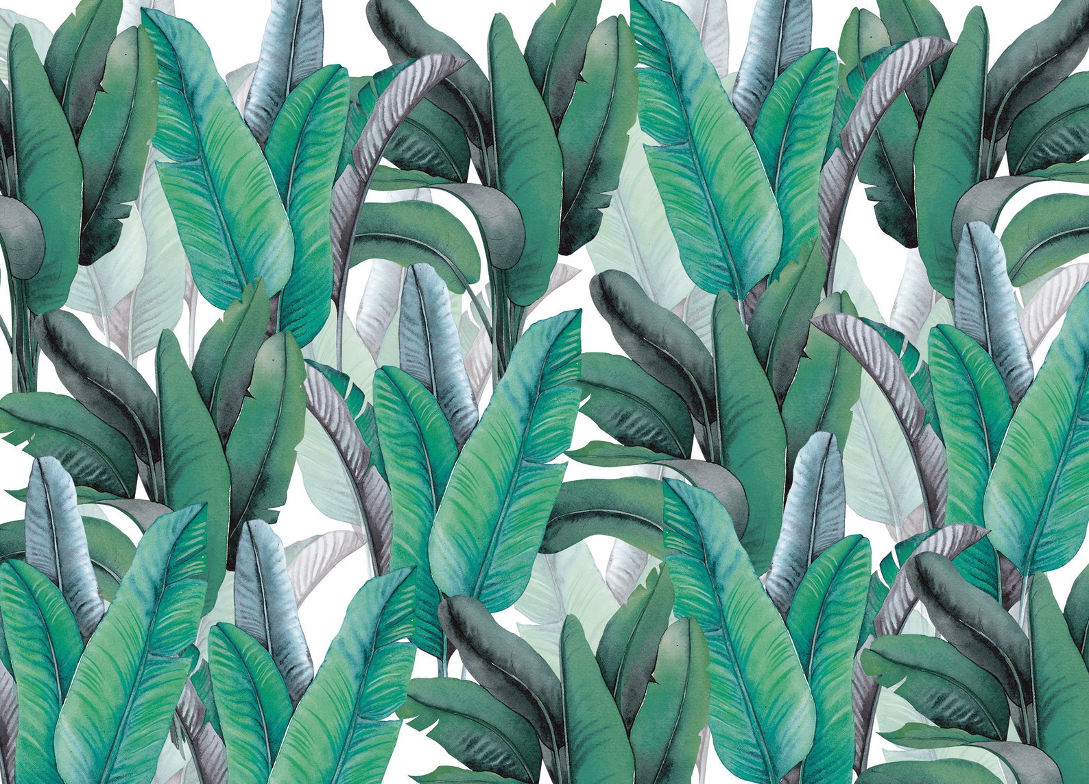 Palm Wallpaper-tropical Leaves Wallpaper Big Palm Leaves Wall | Etsy