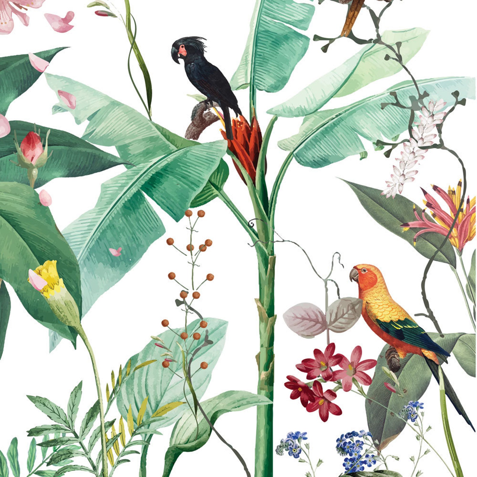 The Bird Garden Tropical wall mural-Exotic wall mural Peel | Etsy