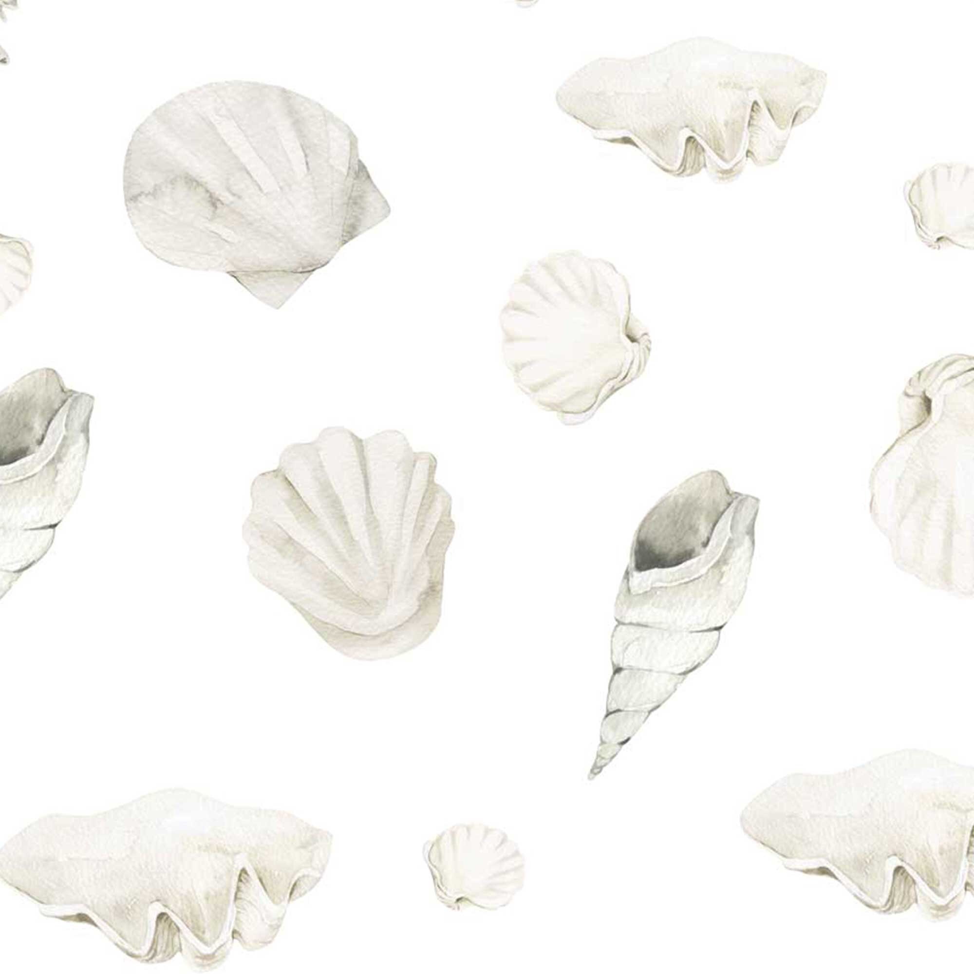 Shell Wallpaper Coastal Wallpaper Beachy Wallpaper Earthy | Etsy