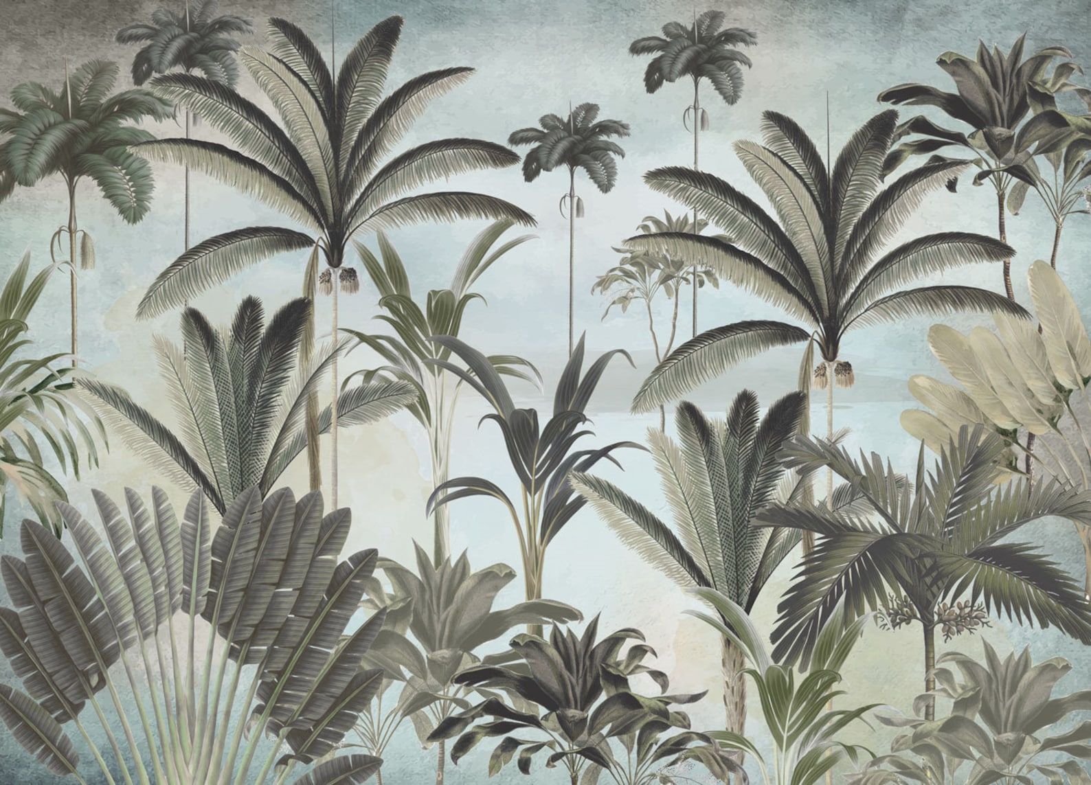 Palm Tree Garden Tropical Vintage Wallpaper palm Tree Illustration Wall ...
