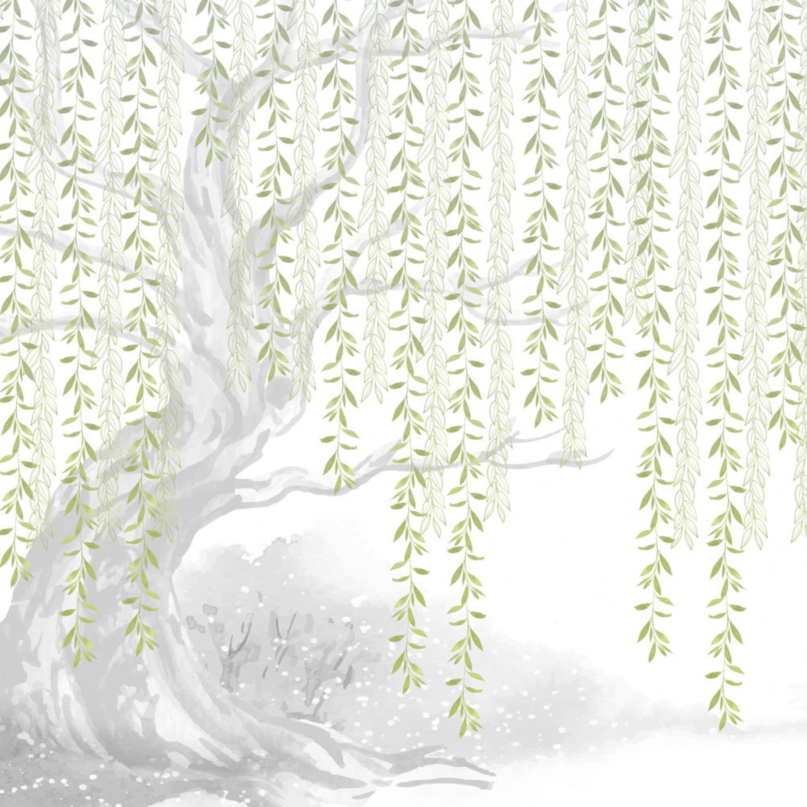The Weeping Willow Wall Mural weeping Willow Tree - Etsy