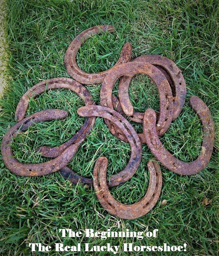 Real Lucky Horseshoe, Handcrafted, Ready to Hang, Unique Housewarming ...