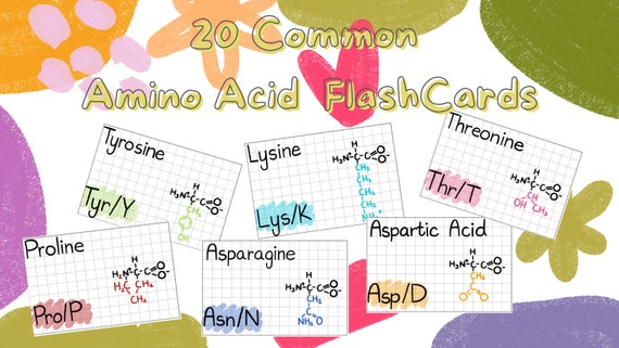 20 Common Amino Acids Chart PK Values Of Amino Acids. | Download Table