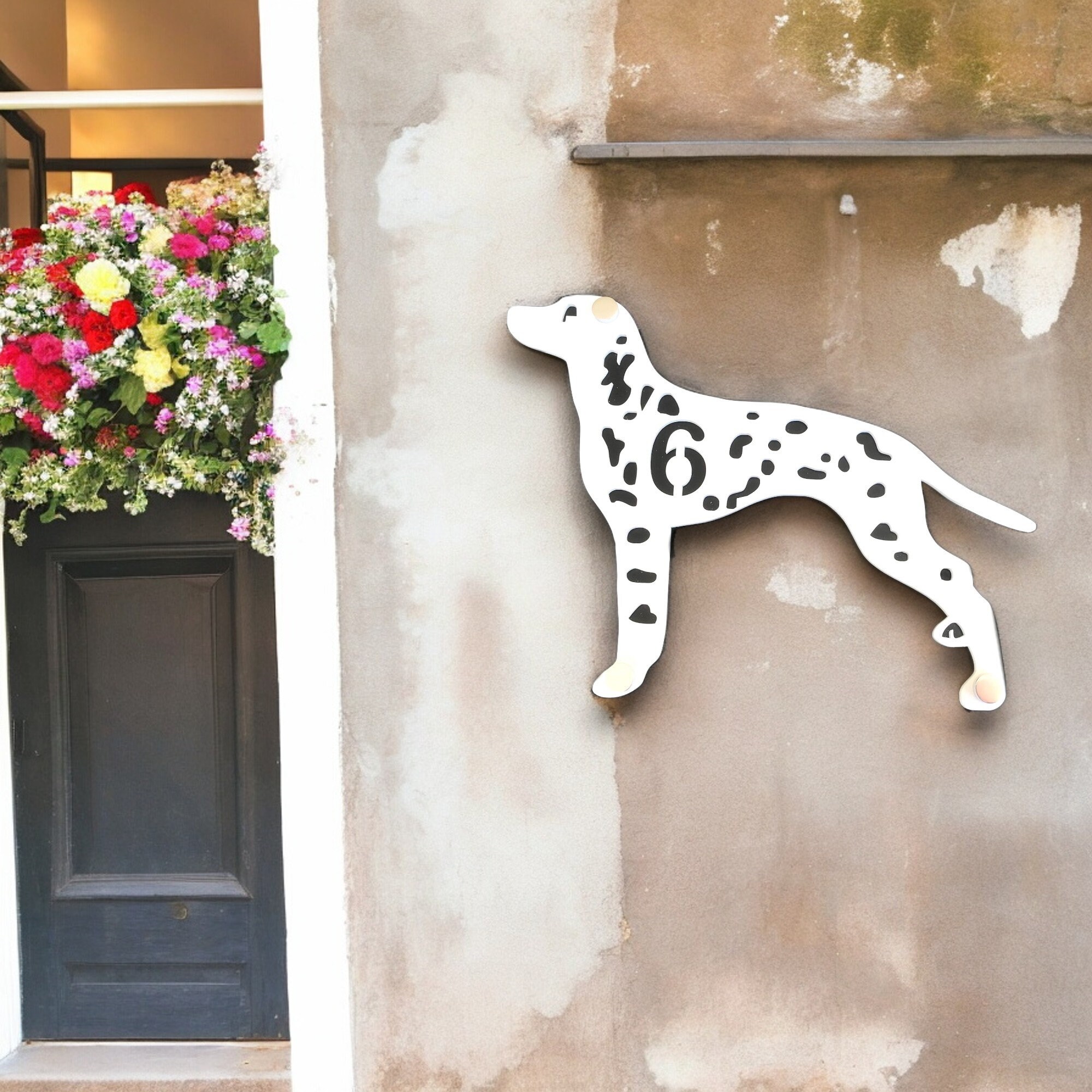 Dalmatian Dog House Number Acrylic Sign - Many Colours (bespoke Signs ...