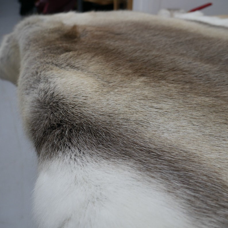 Natural Reindeer Skin - Etsy