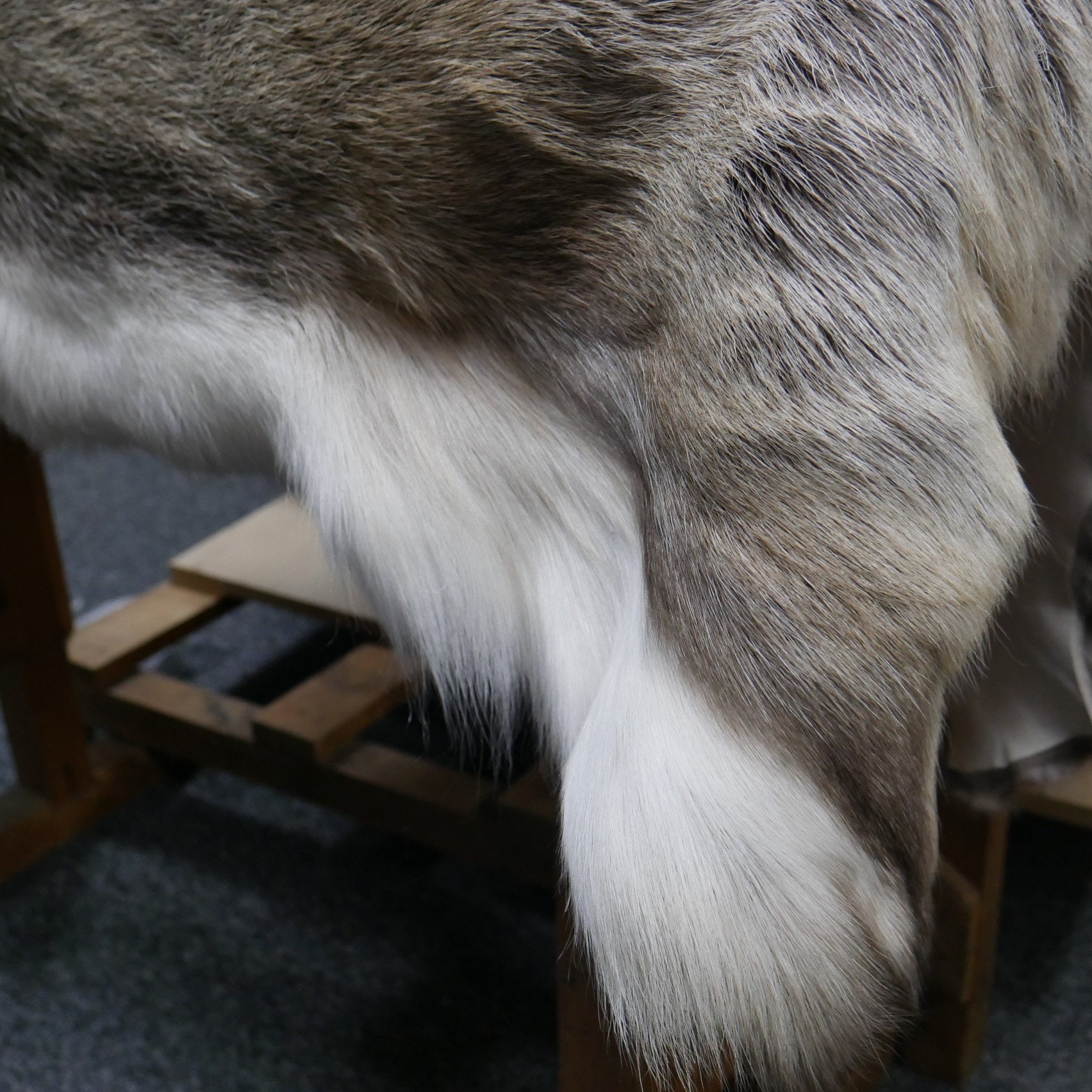 Natural Reindeer Skin - Etsy