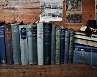 Blue Book Stack | Etsy