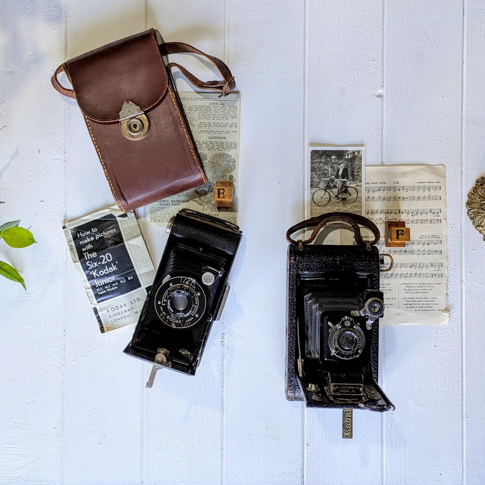 Retro Camera Collection: 1910s-1970s Kodak, Vest Pocket, Halina ...
